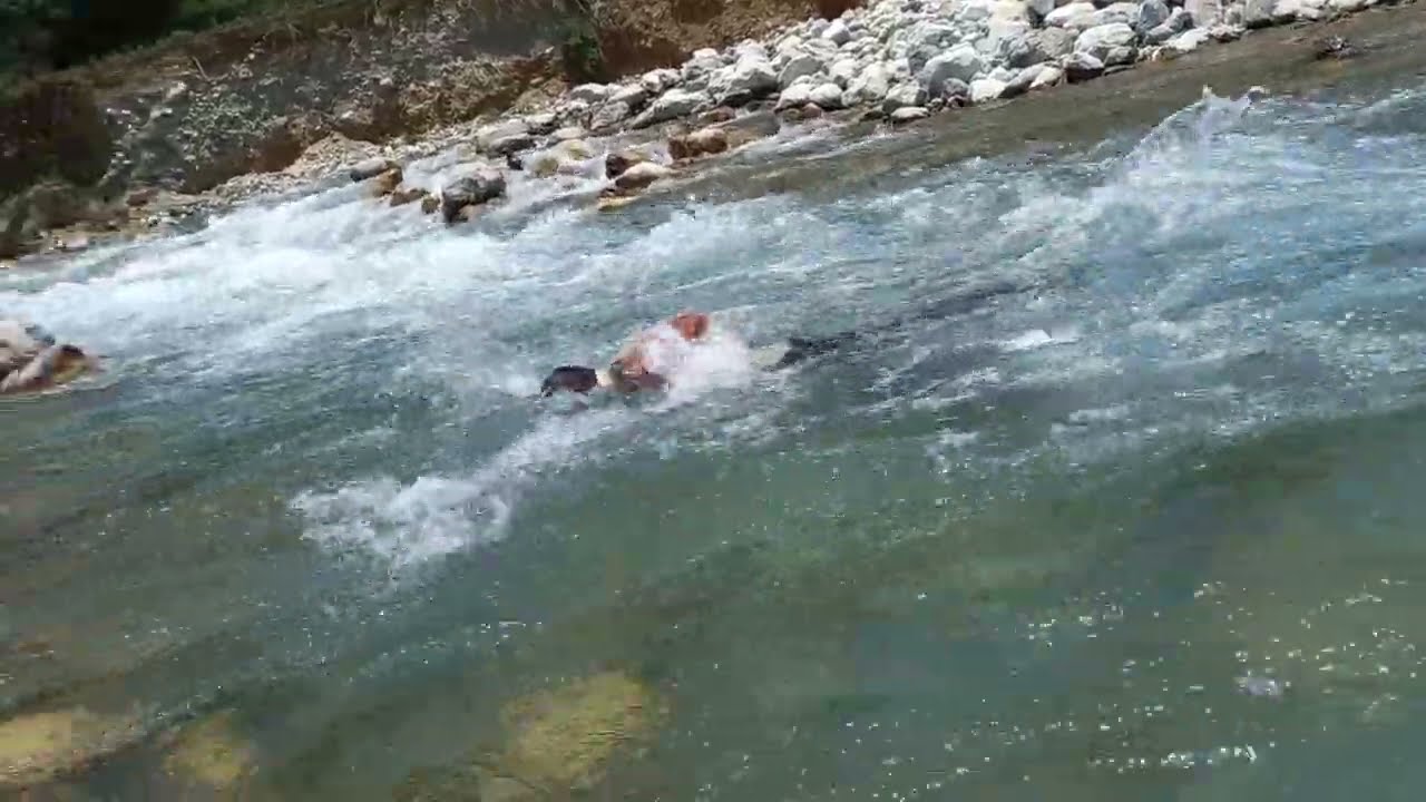 swimming at kalanga river with clothes - YouTube
