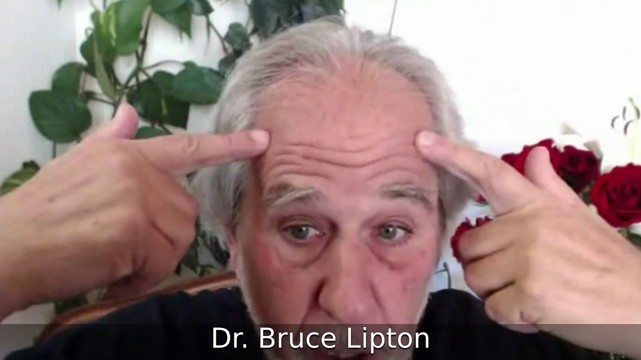 Part 2 The Biology of Belief: An Interview with Dr Bruce Lipton - YouTube