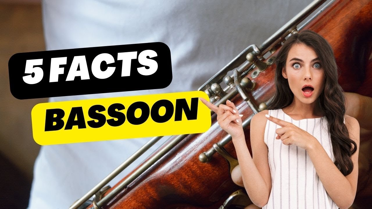 5 Facts about the Bassoon - YouTube