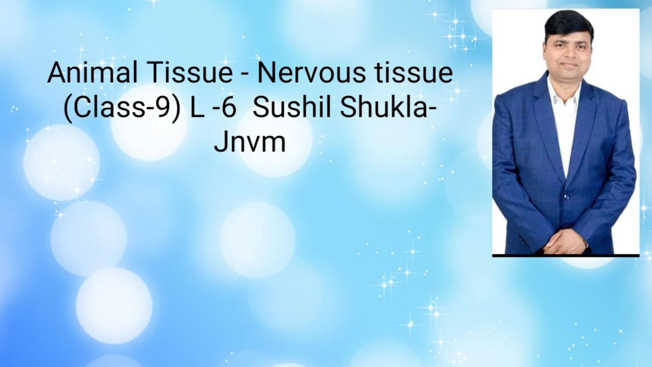 animal-tissue-nervous-tissue-class-9-l-6-youtube