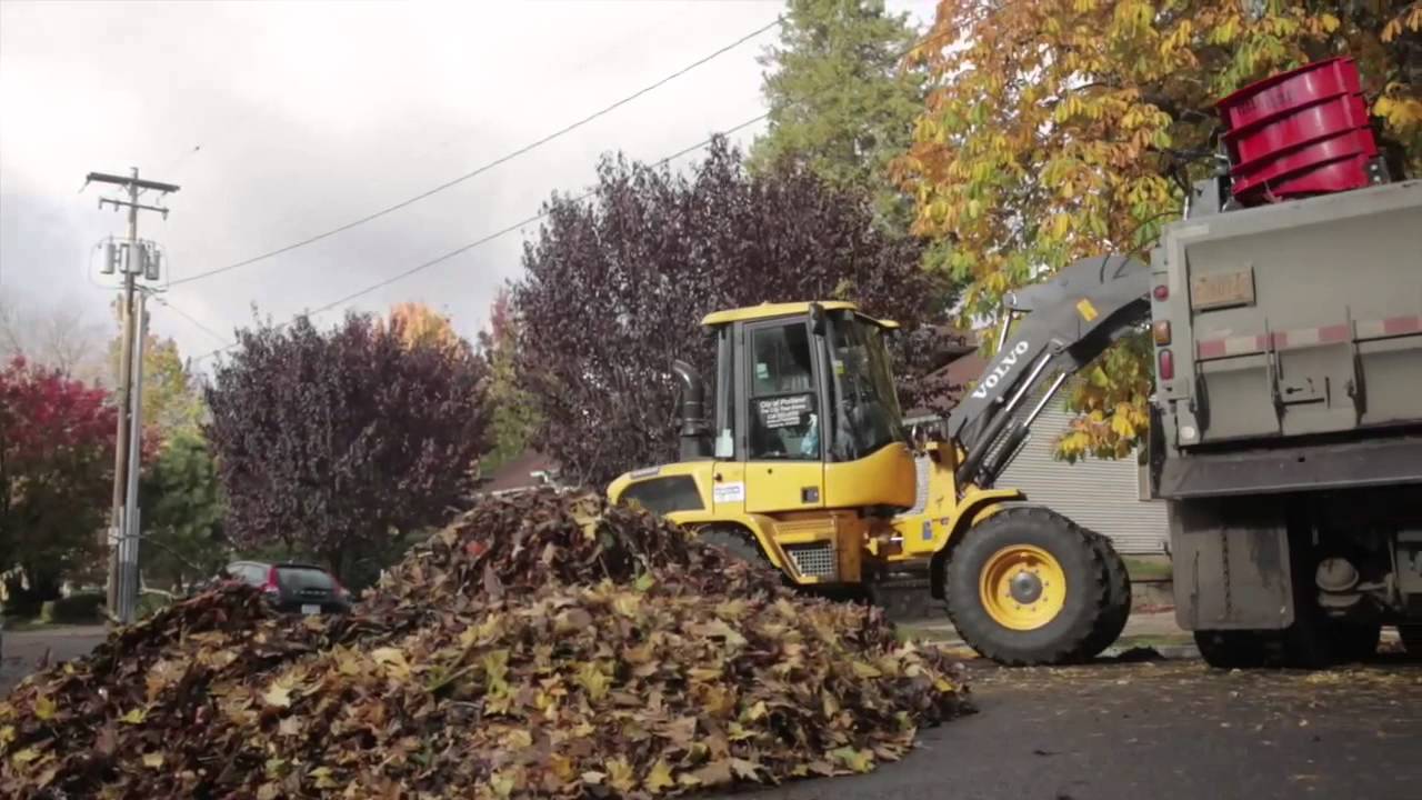Leaf Removal In Portland YouTube leaf-removal-in-portland-youtube