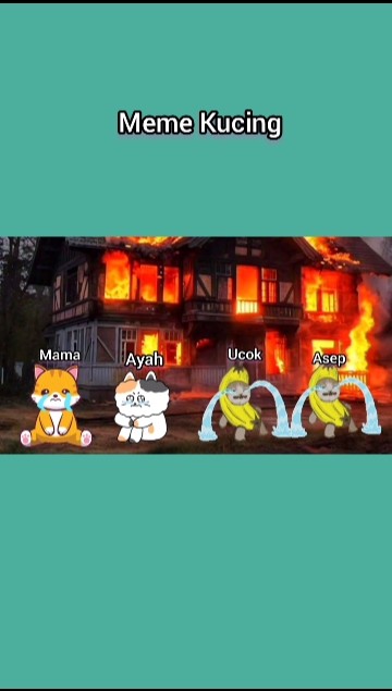 MEME KUCING RUMAH KEBAKARAN ! #funny #funnymemes #lucu #cat #kucing # ...