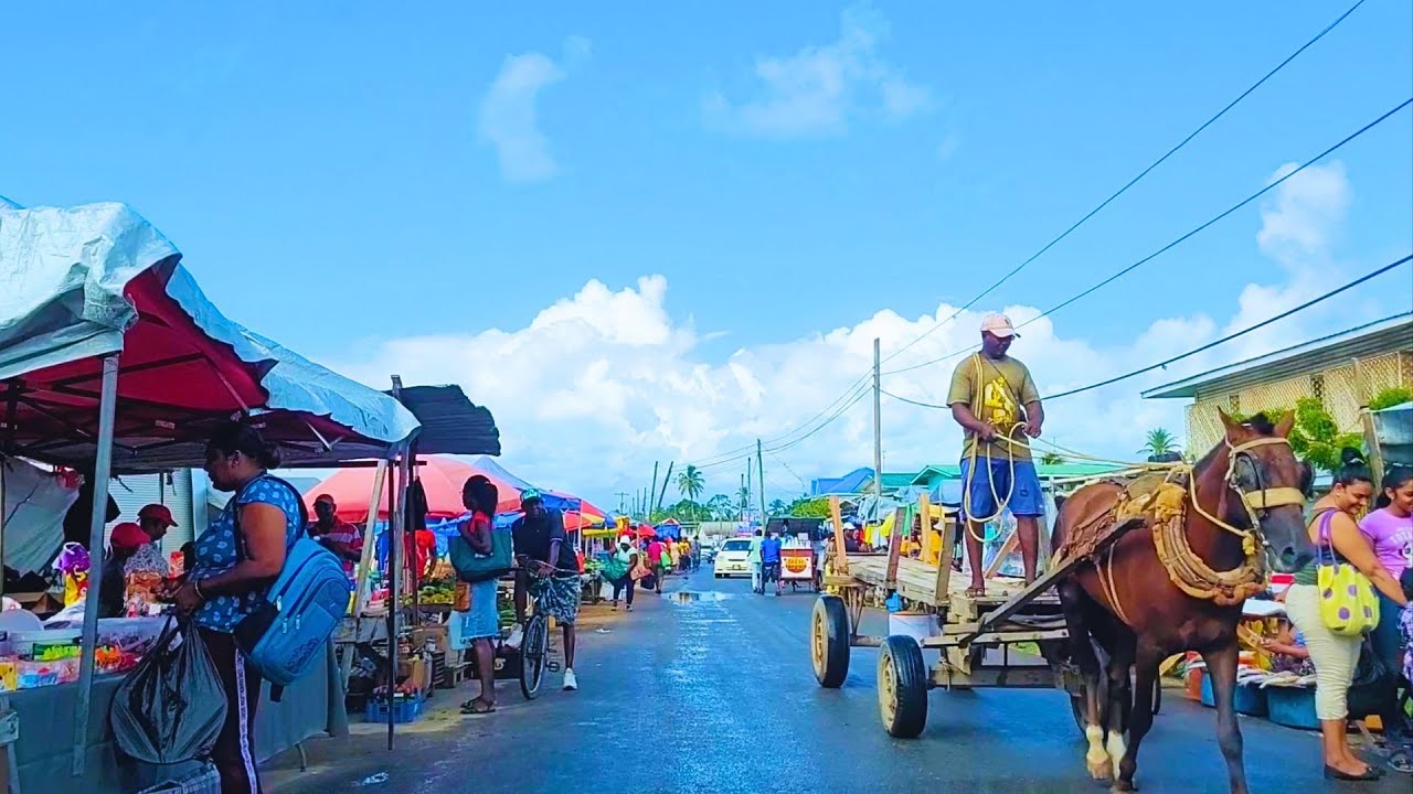 Mahaica Saturday Street Market Along The Mahaica River 🇬🇾 GUYANA 2023 ...
