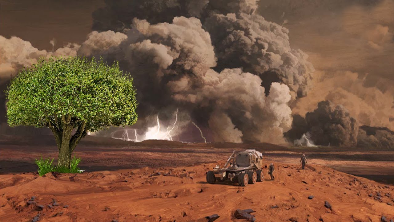 क्या मंगल ग्रह पर खेती कर सकते हैं|What happens when we plant tree on Mars|Mars - The Red Planet ...