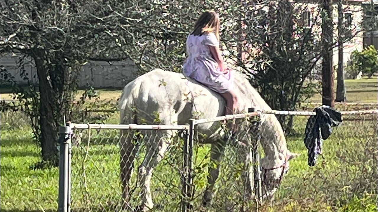 Just piddling around Episode 89. #farmlife #farmkids #lgd # ...