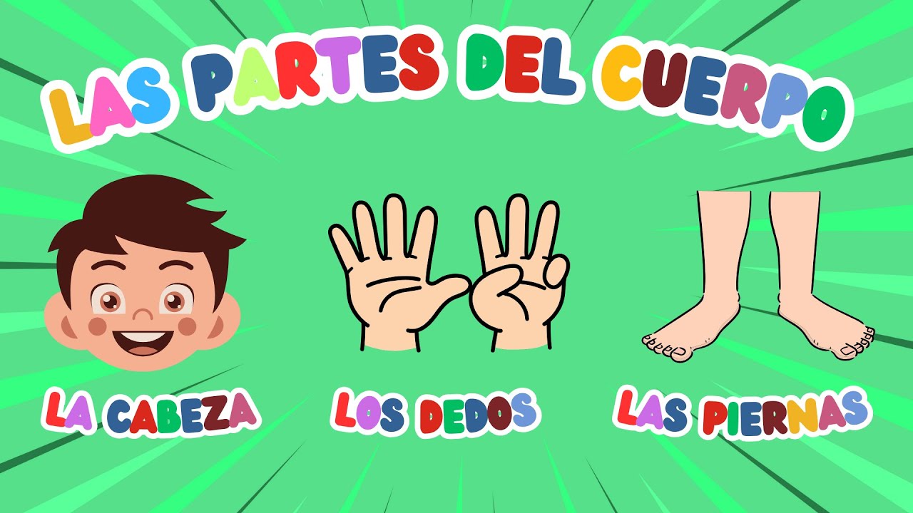 Song to learn the Parts of the body in Spanish for kids. Canción: las ...