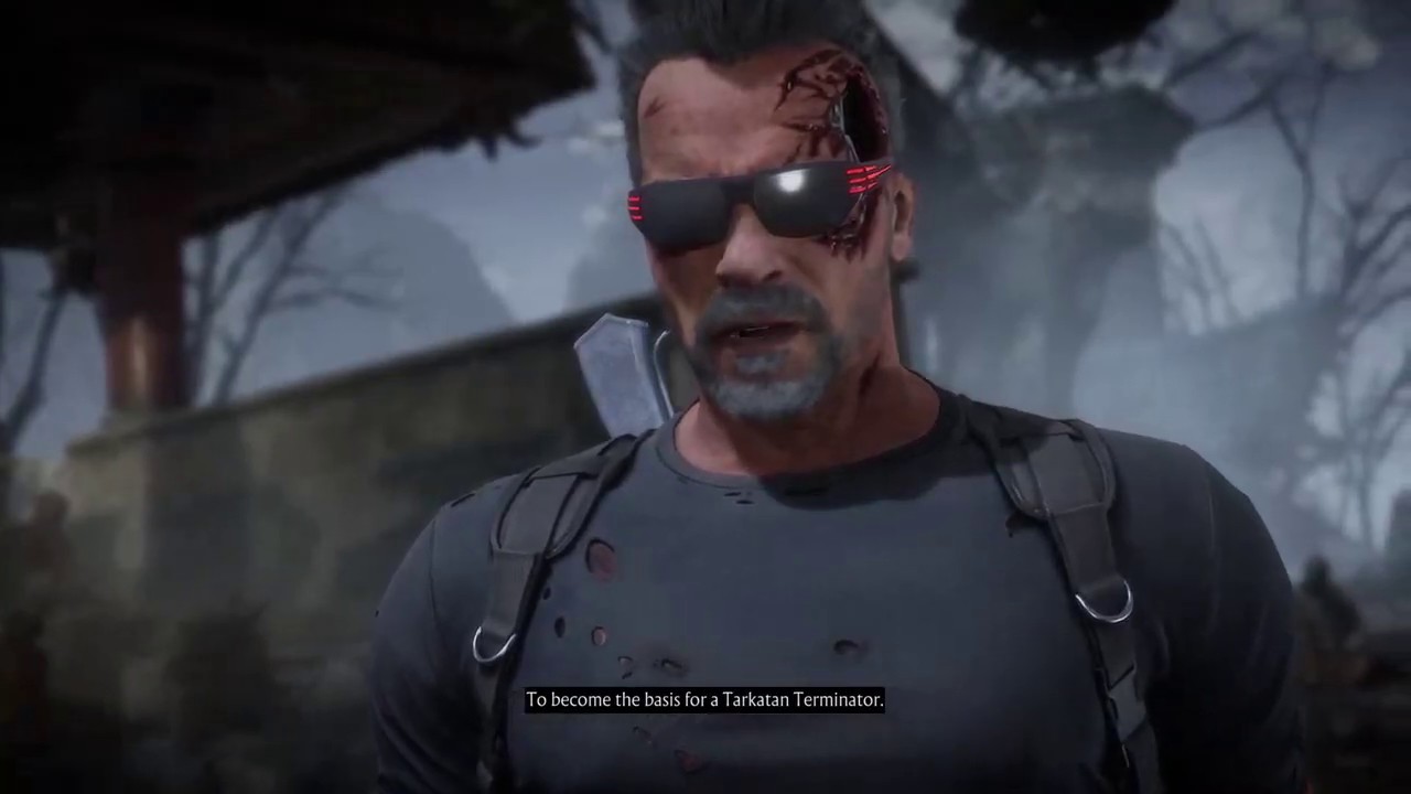 MK11 THE TERMINATOR ONLINE RANKED - YouTube