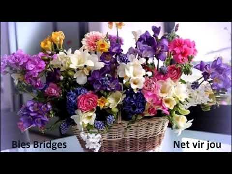 Bles Bridges - Net vir jou - YouTube