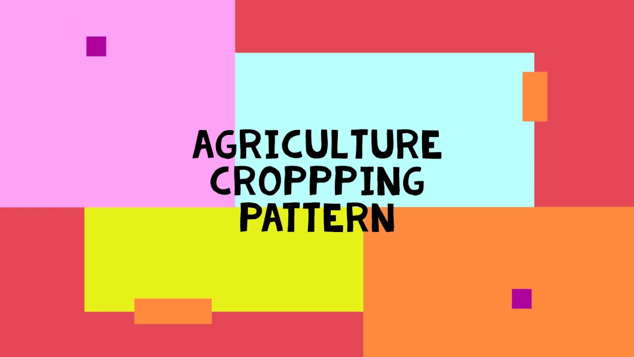 Geography -Chapter 4 Agriculture | Cropping Pattern | Social Studies | NCERT | Class 10th Cbse ...