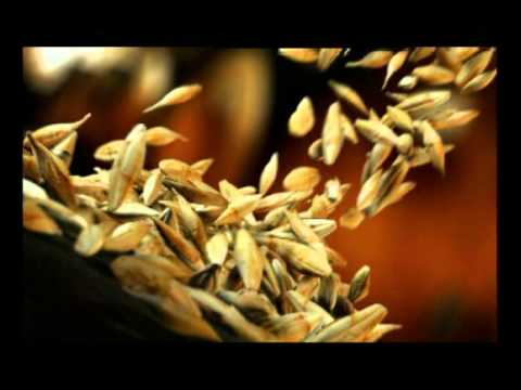 СКОПСКО ТВ Реклама - Кога сакаш пиво I SKOPSKO TV Reklama- KOga sakas ...