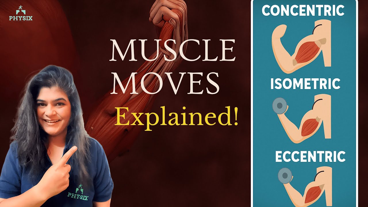 Muscle Contractions: Isometric, Isotonic, Isokinetic | Must-Know for ...
