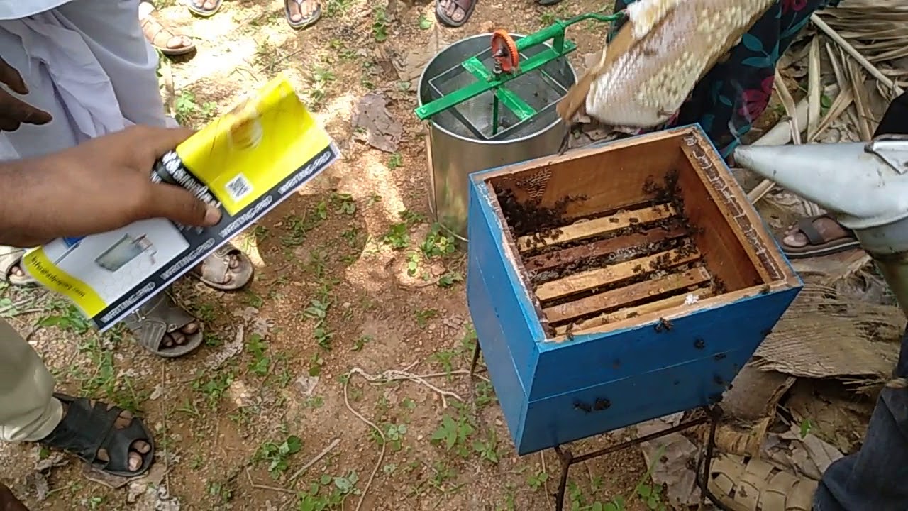 Beekeeping training - YouTube