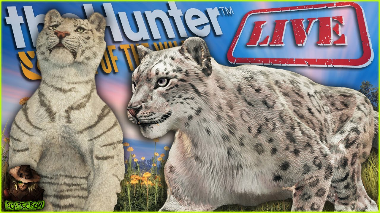 The Tigers Are INCREDIBLE... But Lets Hunt Snow Leopards As Well! Call ...