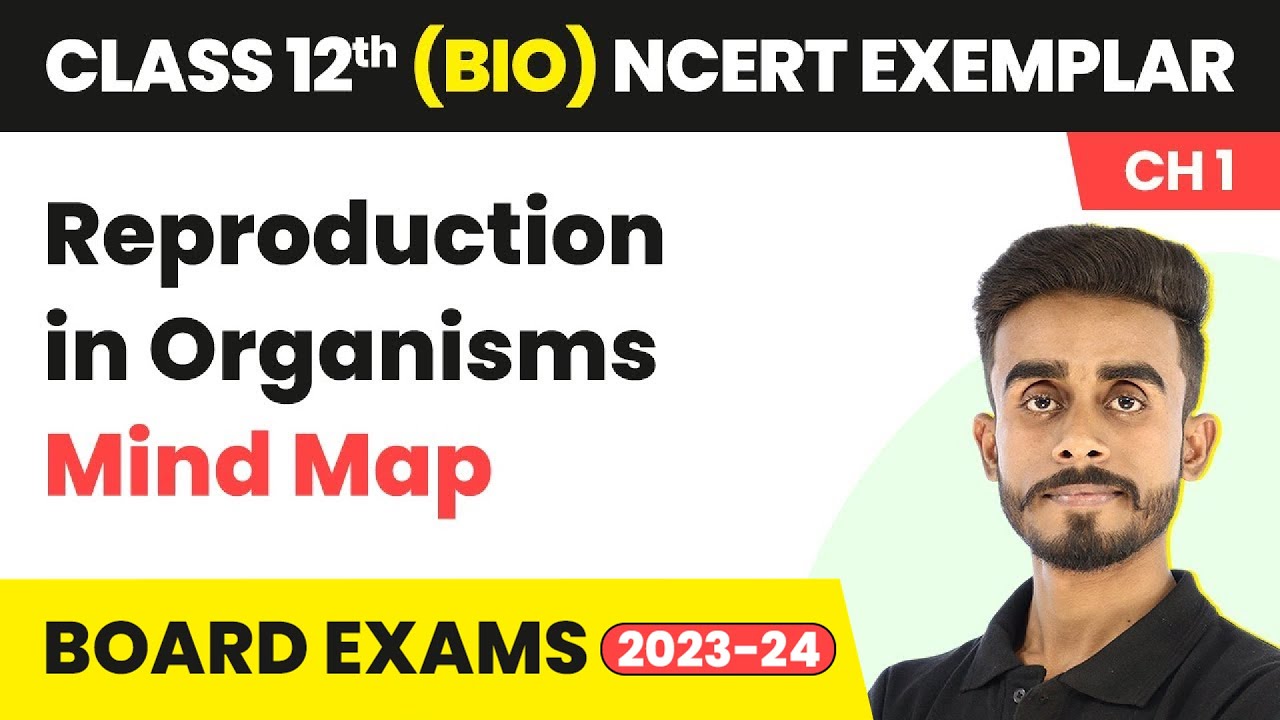 Reproduction in Organisms - Mind Map | Class 12 Biology NCERT Exemplar ...