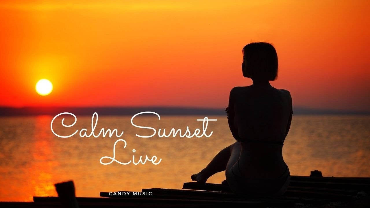 CALM LIVE STREAM | SUNSET BEACH CALM HIPHOP MUSIC LIVE STREAMING - YouTube