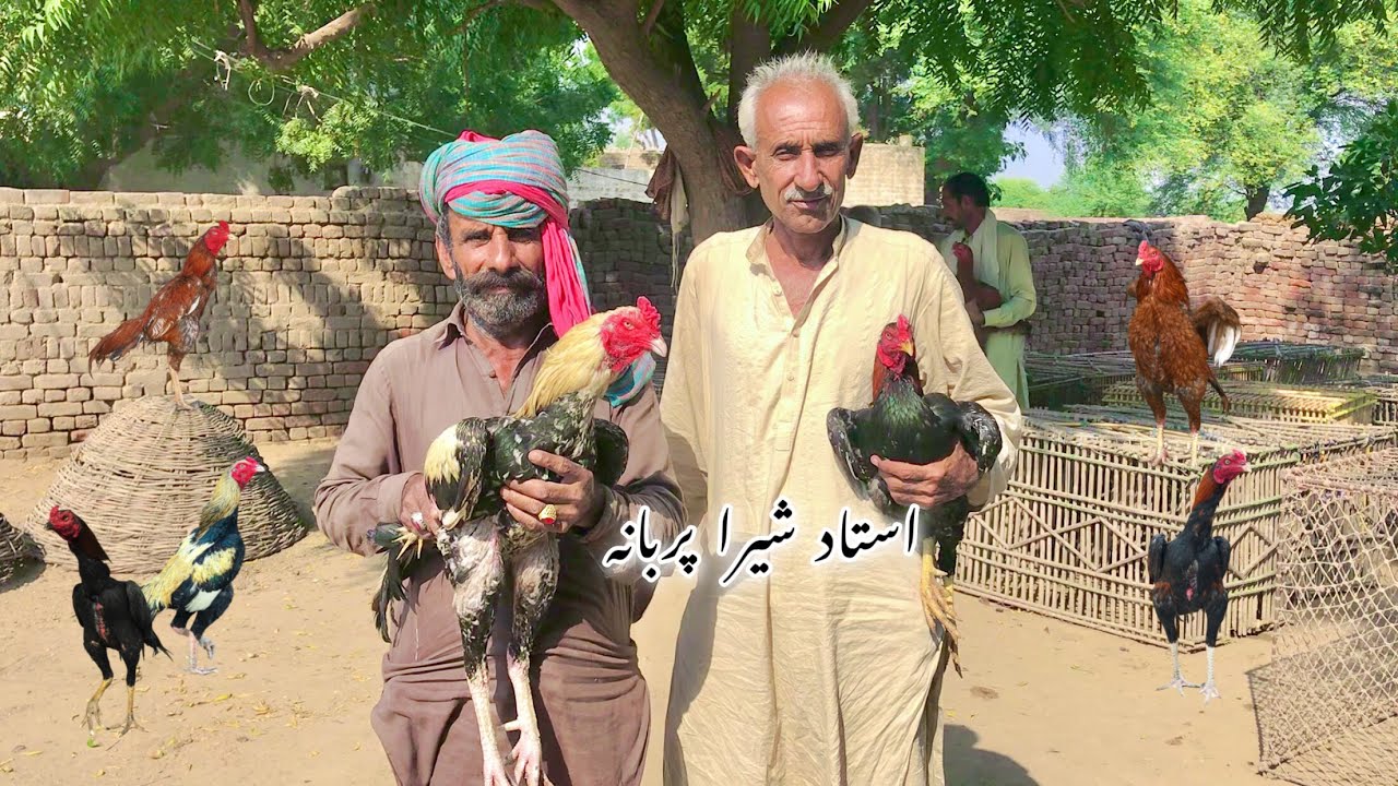 Ustad sher Muhammad purbana interview Episode 4 - YouTube