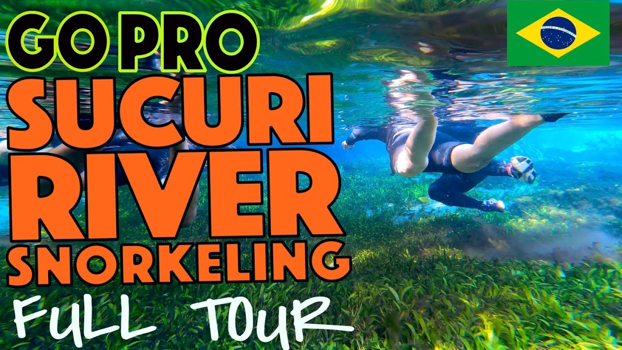 GOPRO SUCURI RIVER SNORKELING TOUR #bonito #sucuri #gopro - YouTube