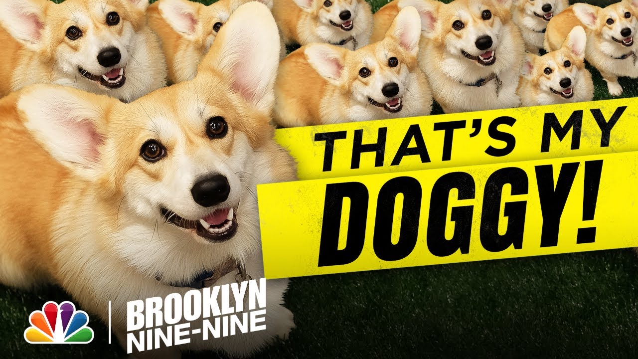 It's Cheddar! Cheddar the Dog! - Brooklyn Nine-Nine - YouTube