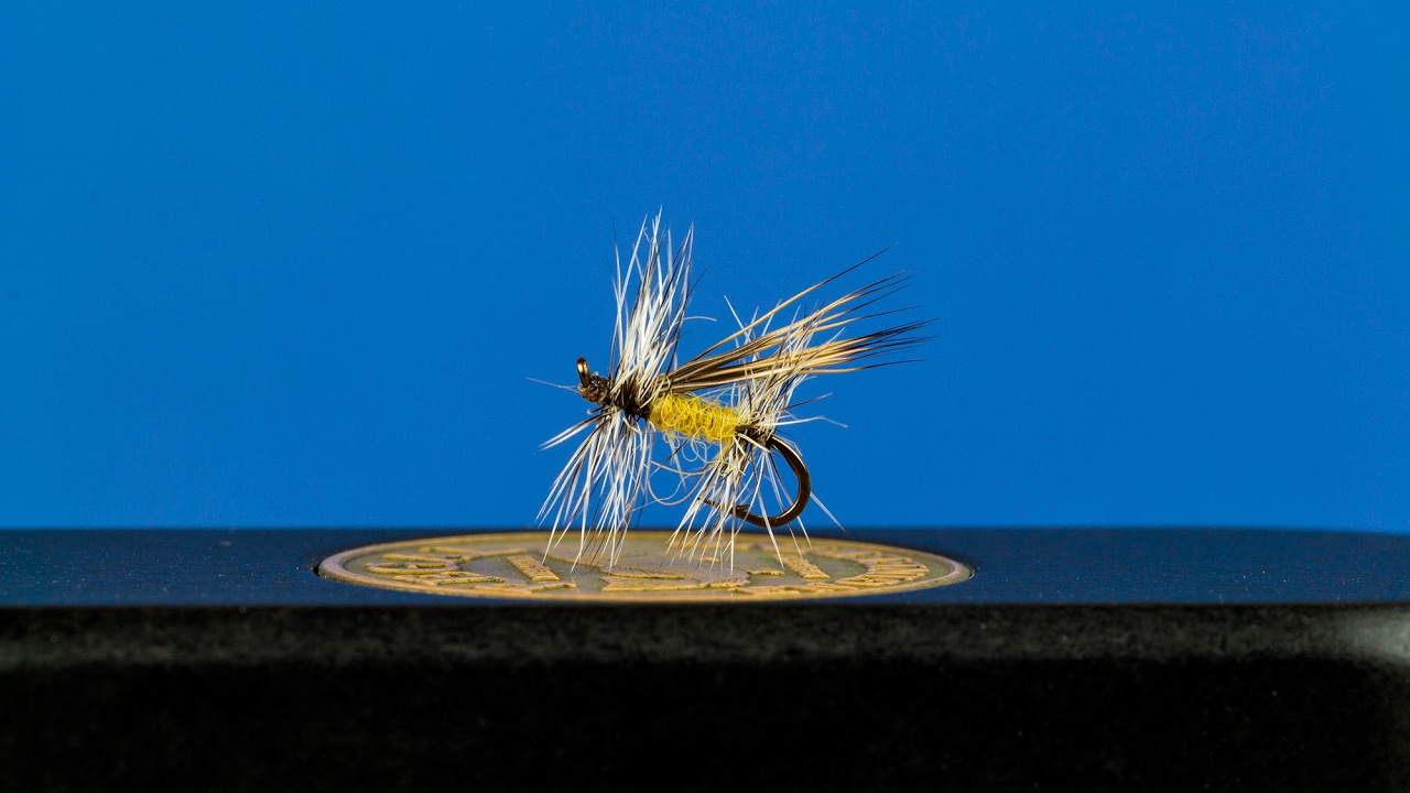 Michigan Stone Dry Fly - YouTube