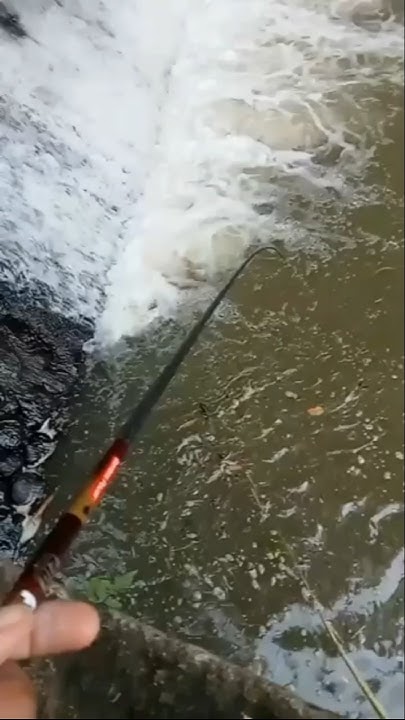 MANCING WADER DI SUNGAI SEKALIAN NGABUBURIT #microfishing #mancingwader #mancing #mancingliar ...