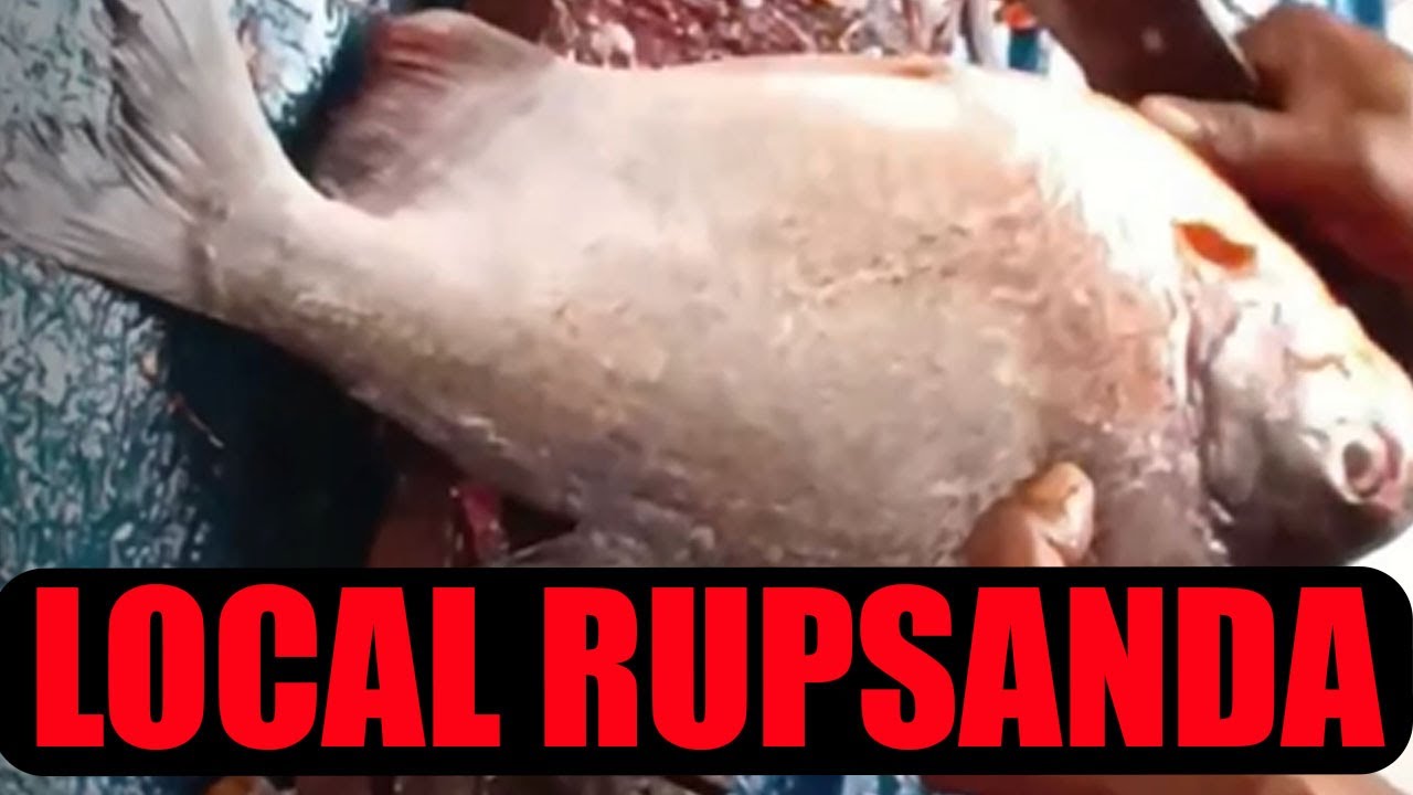 Rupsanda Fish Cutting in local Market Fish Life Hard - YouTube