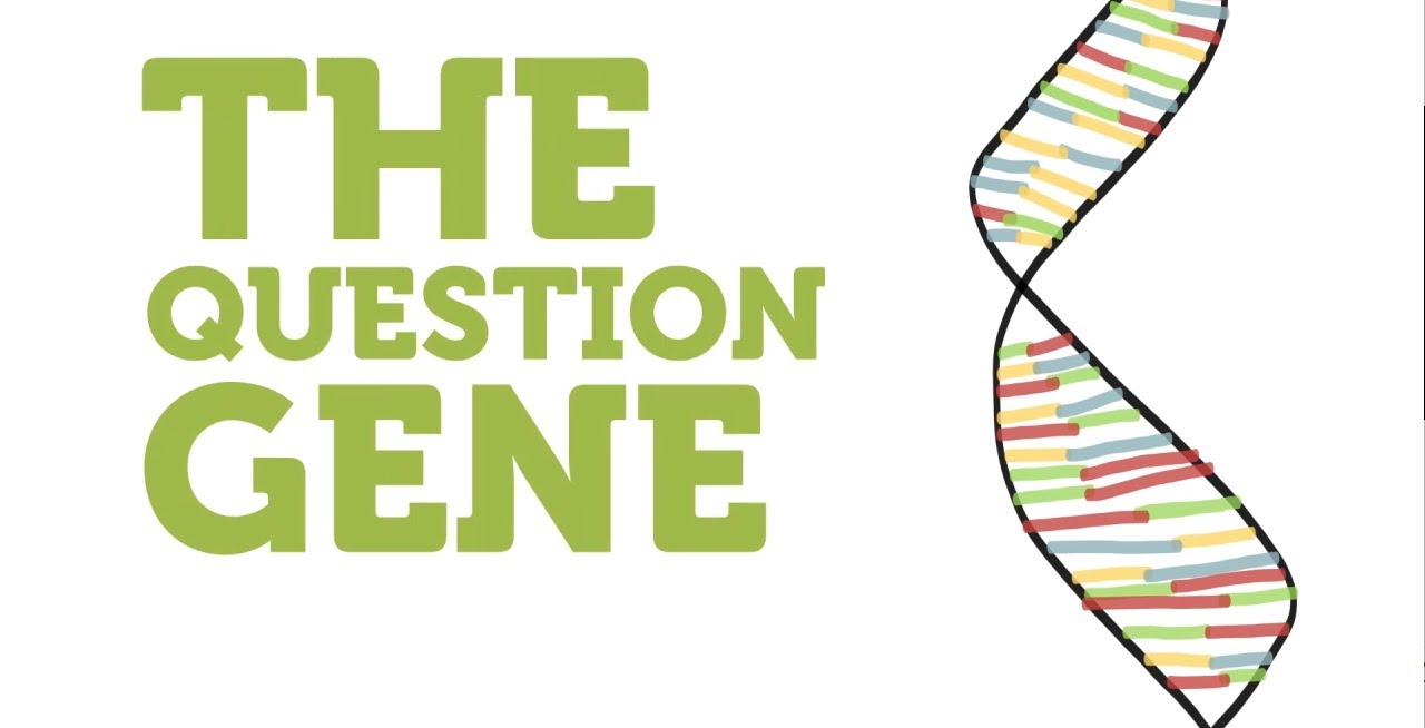 The Question Gene: How do flies see? - YouTube