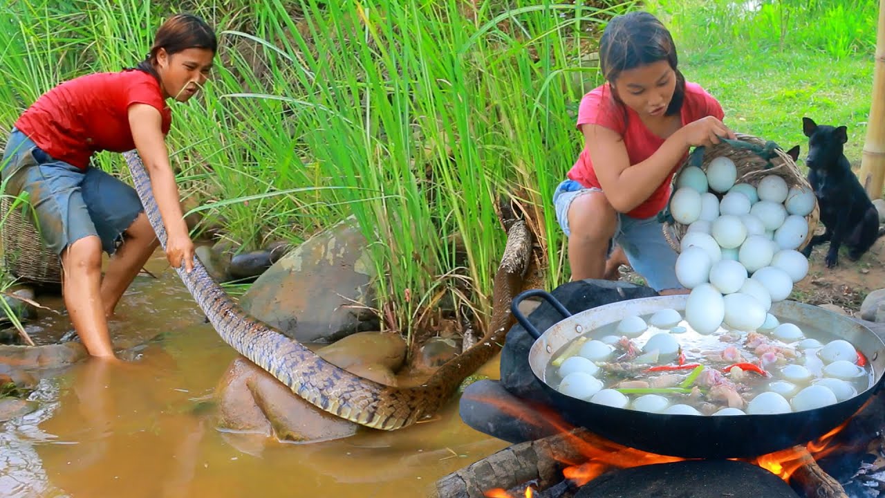 survival in the rainforest - Catch Snake egg and Cow ribs at river ...
