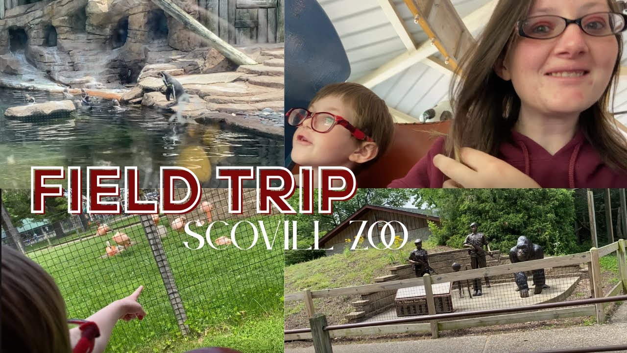 We're heading to the ZOO! (Field Trip) - YouTube