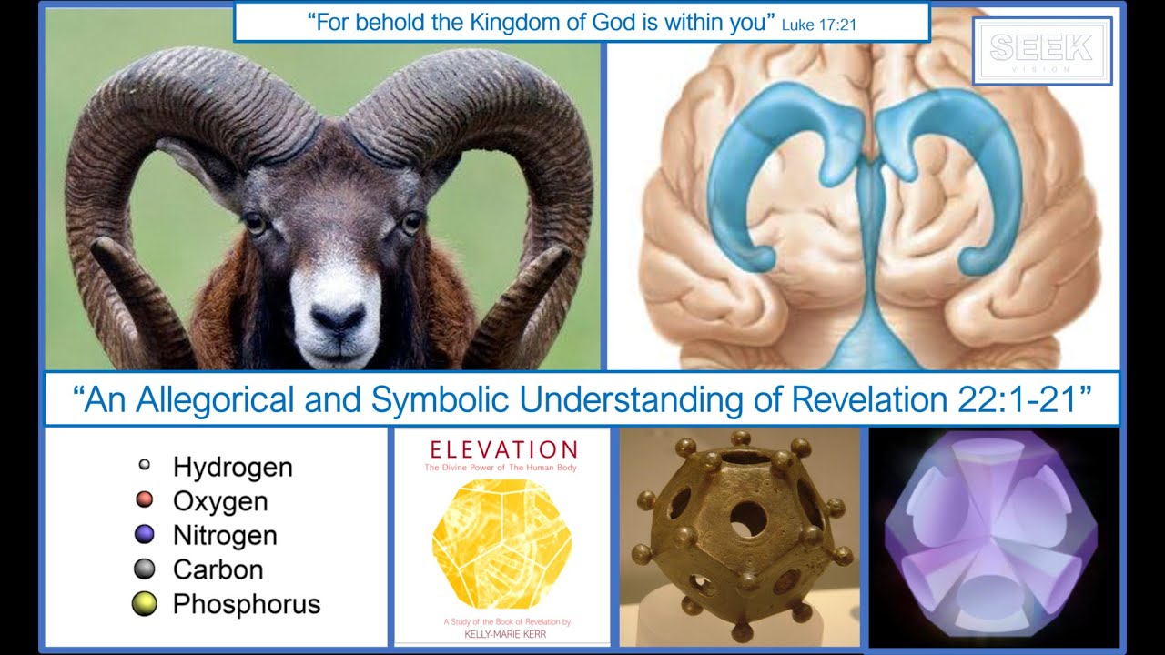 Revelation 22 - Bible Symbolism, DNA Activation, THE LAMB AND ITS BRIDE ...