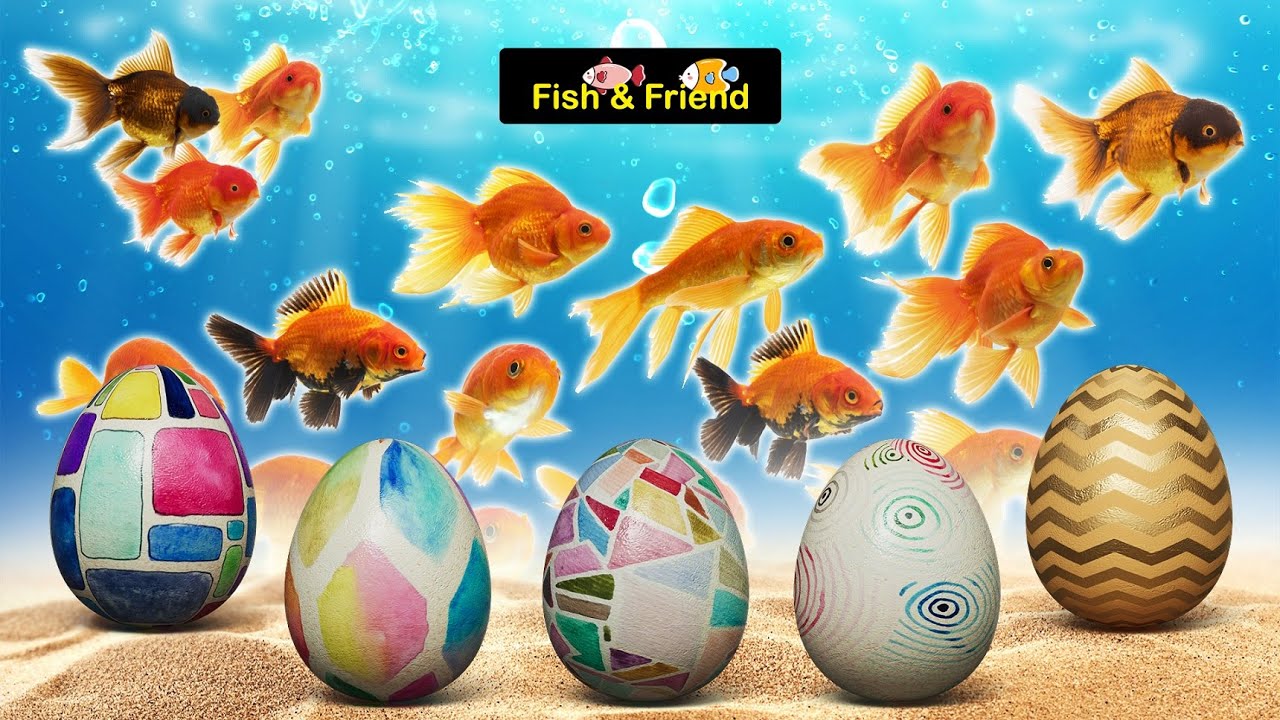 Colorful Surprise Egg Aquascape aquarium - YouTube