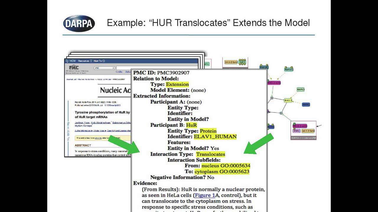 Dr. Paul Cohen: DARPA Program Manager, DARPA BiT Keynote Speaker - YouTube