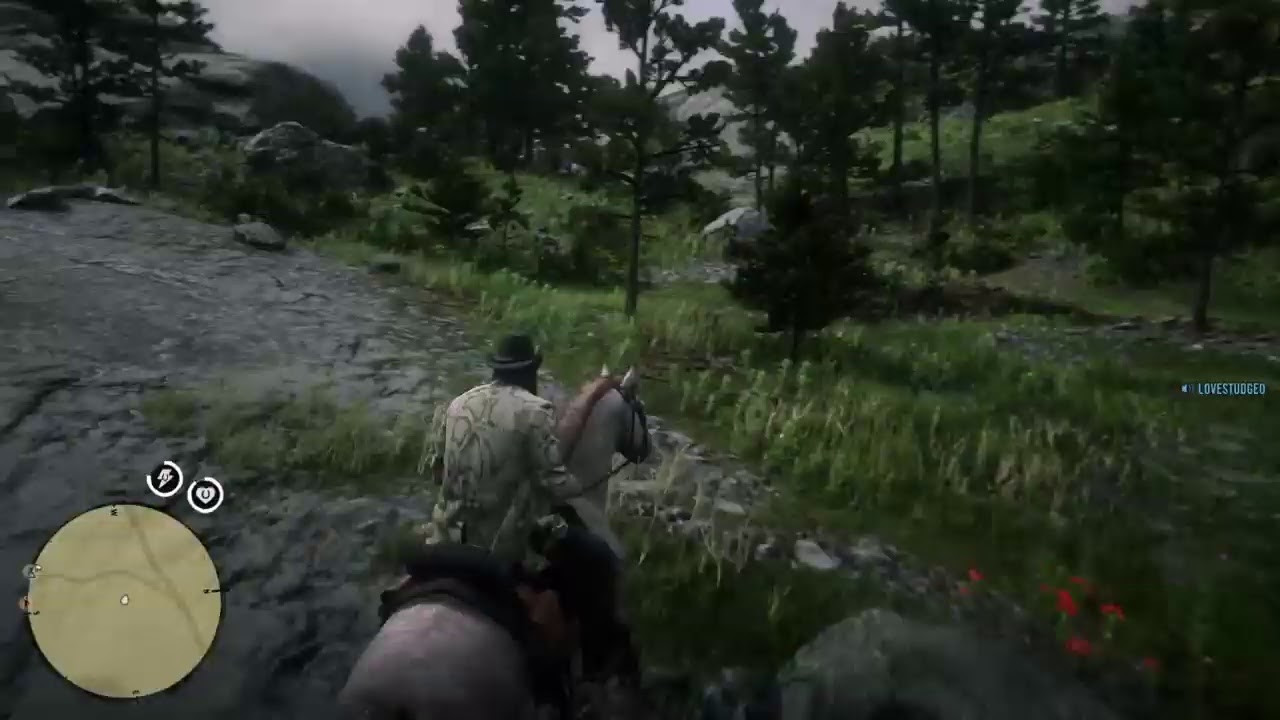 Red Dead Redemption 2 Online-PS4 Ginseng ang Goose - YouTube