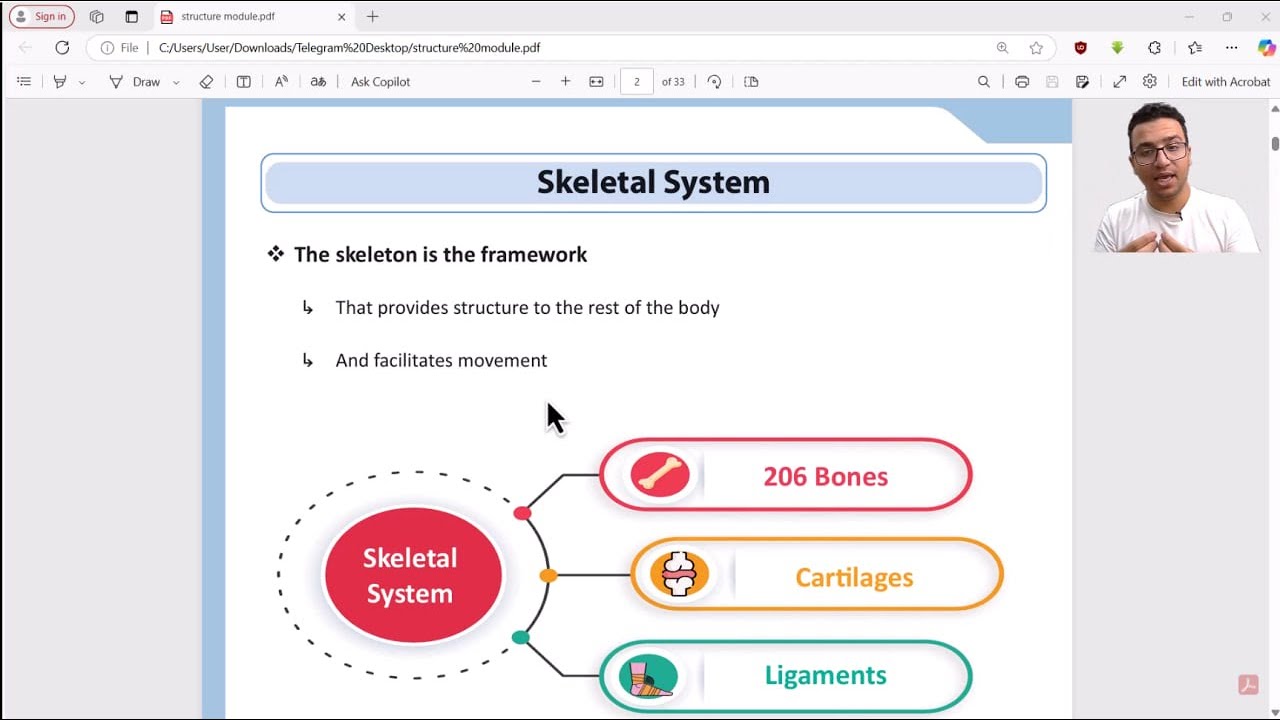 structure module in capsule (15 minute ) - YouTube