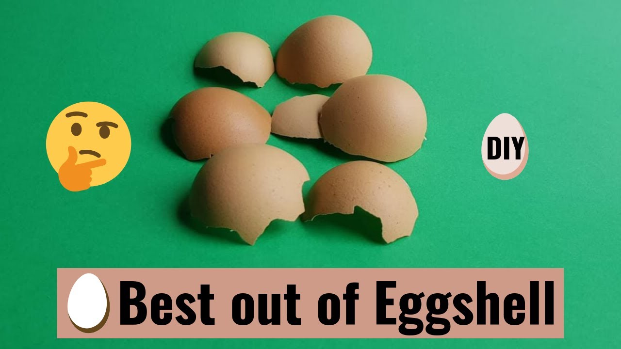 How To Reuse Eggshells ll DIY Egg Shell Mosaic ll Cáscara de huevo ...