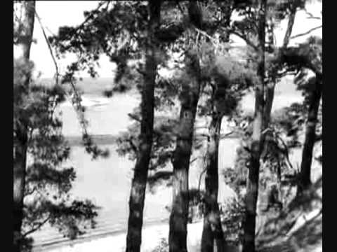 Wire - Follow the Locust - YouTube