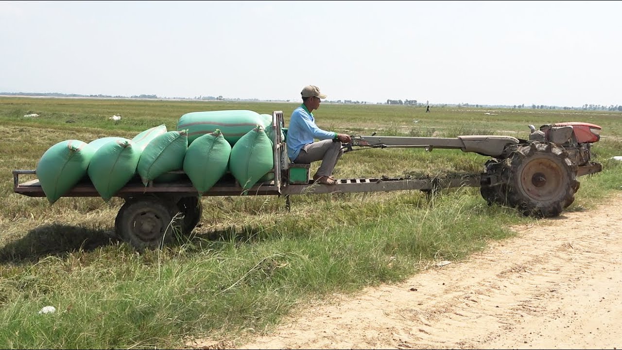 Small tractors at work | Miniature tractors unstuck | Mini tractor mud ...