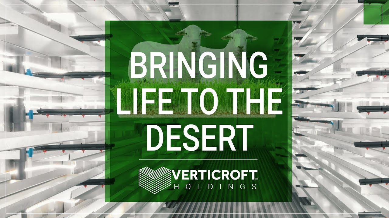 Bringing Life To The Desert | Verticroft Holdings | Ryan Singlehurst ...