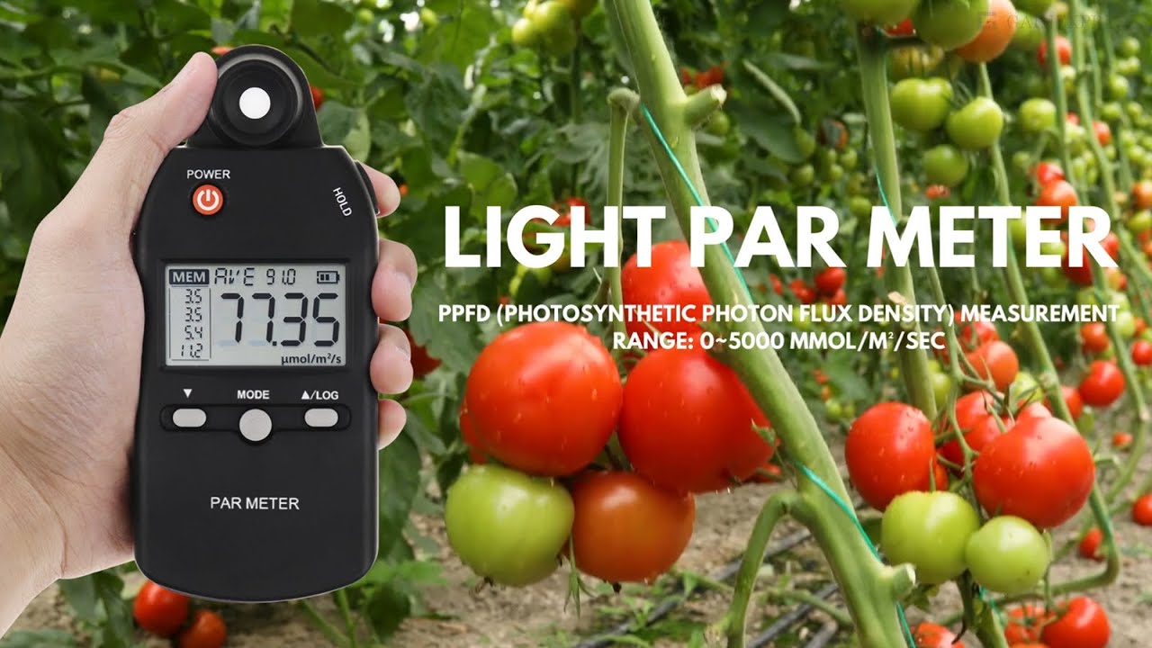 PAR-355 Light PAR Meter Advanced Quantum Sensor - YouTube