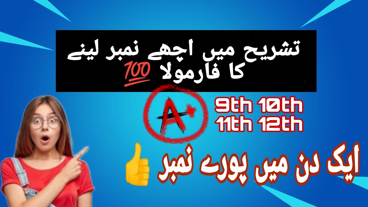 "The Ultimate Trick to Getting Full Marks on Interpretation Exams: A ...