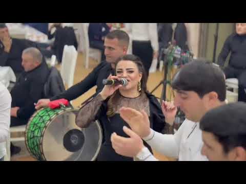 Gülü Şirvanlı & Elnur Şirvanlı - Toyudur Qardaşım 2026 ( Canlı ifa )