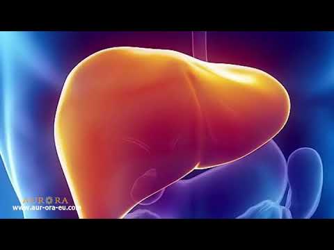 Силицитин - сбор трав для очищения печени!! - YouTube