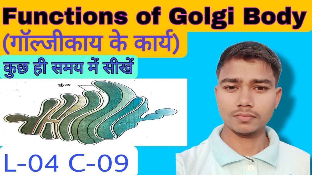 Function of Golgi Body (गॉल्जीकाय के कार्य) - YouTube