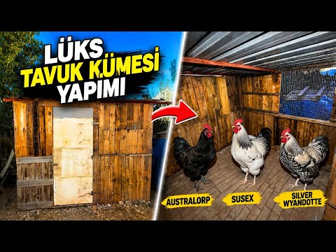 AHŞAP TAVUK KÜMESİ YAPIMI BİTTİ 