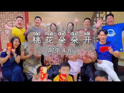 桃花朵朵开 Tao Hua Duo Duo Kai #cover - YouTube Music