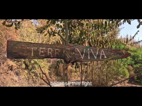 Fundraiser by Jorge Bruges : Terra Viva Fenix Reborn