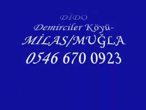 Tuncay atik _ Dido
