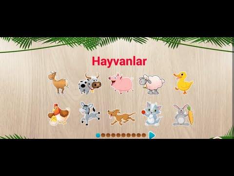 YAPBOZ İLE HAYVANLARI TANIYALIM EĞİTİCİ VE ÖĞRETİCİ VİDEO İYİ SEYİRLER