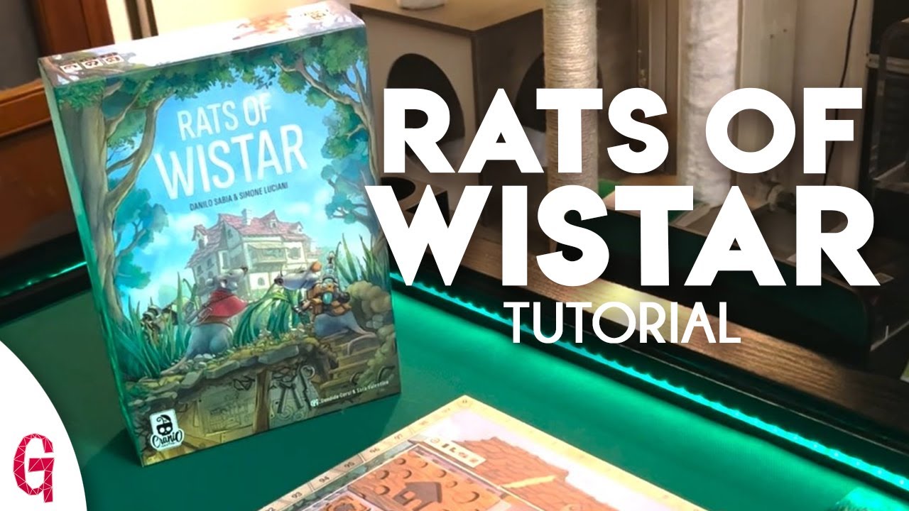 Ratti di Wistar: il GIOCO IN SCATOLA dei topini intelligenti che ...