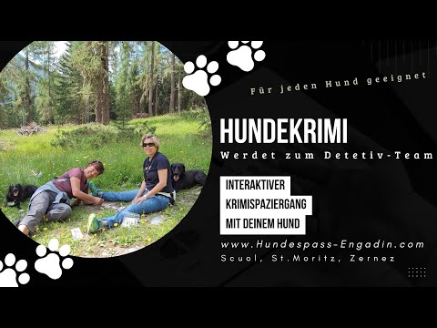 Hundekrimi-Spaziergang - Engadin - Scuol, Zernez, St.Moritz: Interaktives Spiel mit deinem Hund