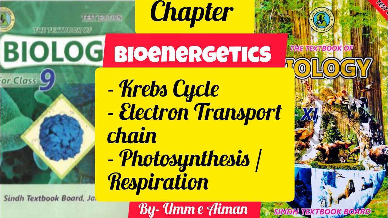 Krebs Cycle - Electron Transport chain - Photosynthesis/Respiration ...
